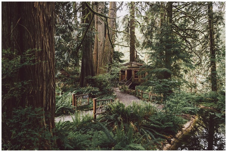 Buff Dudes, A Treehouse Point Wedding | Luma Weddings